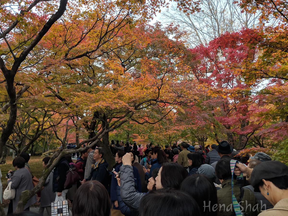 Visiting Kyoto in the Highest Autumn Leaves season |TripJunction Blog